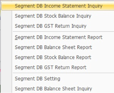 MASTER SEGMENT DB – CBS Software Solution